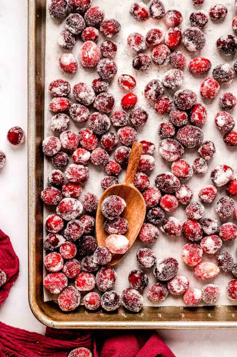 Easy Sparkling Cranberries Recipe - Haute & Healthy Living