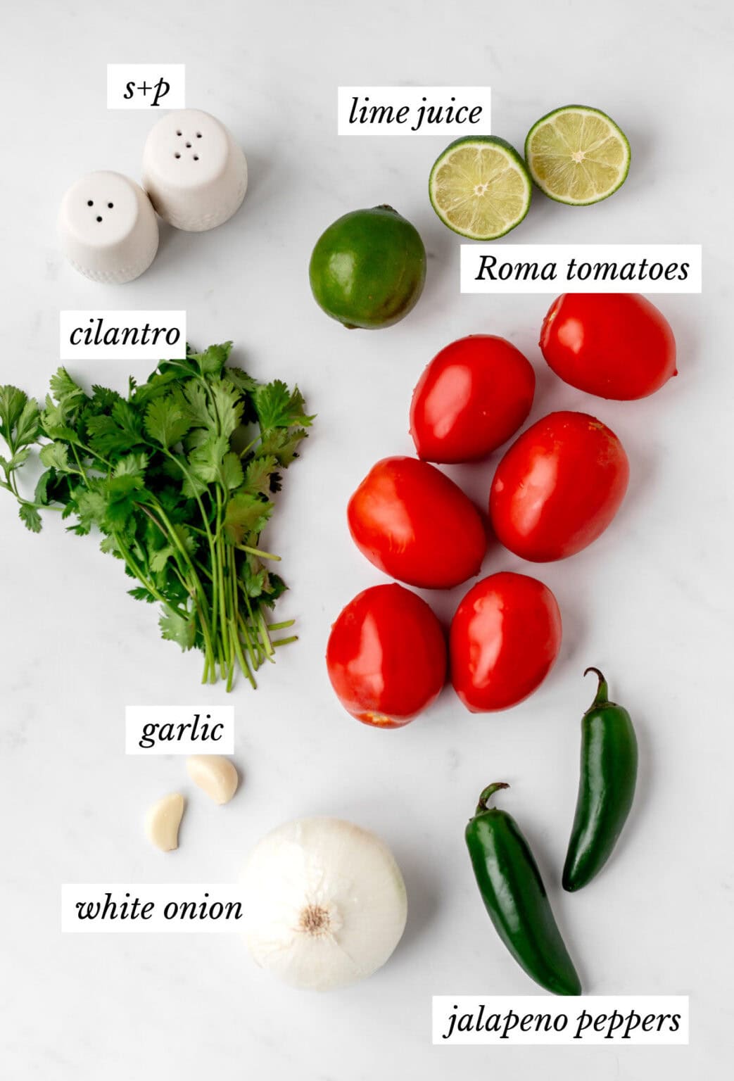 Easy Pico De Gallo Recipe {with Garlic} - Haute & Healthy Living